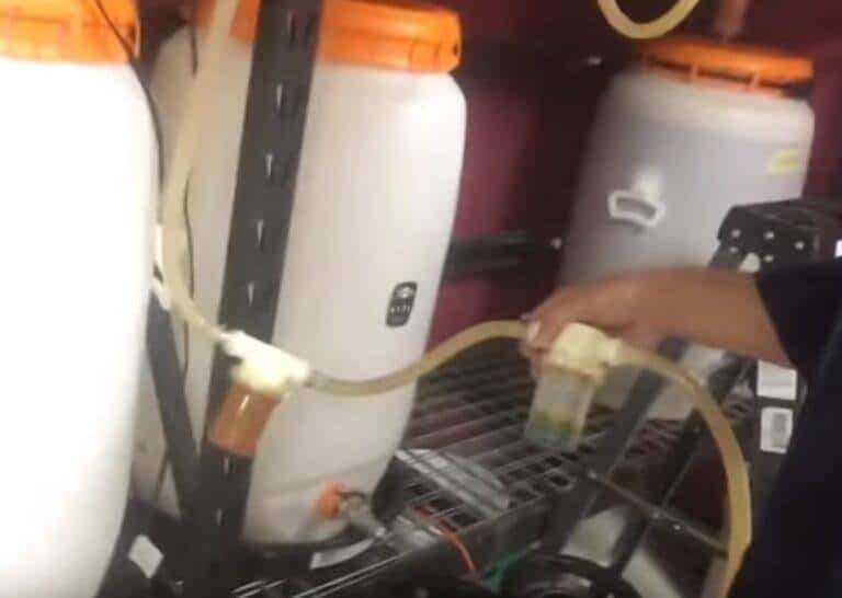 Bouncer Beer Filter – The Best Homebrew Inline Filter? | 2025