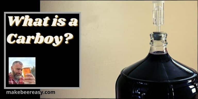 What is a Carboy? | 2026