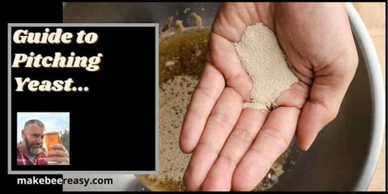 Guide to Pitching Yeast | 2026