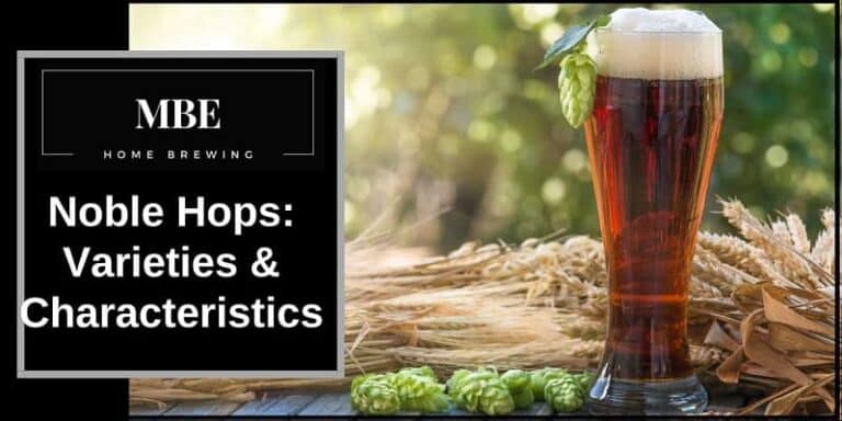 Brewing with Noble Hops: Varieties and Characteristics | 2025