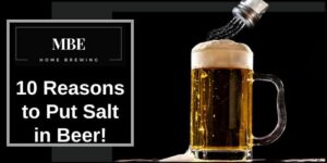 10 Reasons to Put Salt in Beer | Make Beer Easy