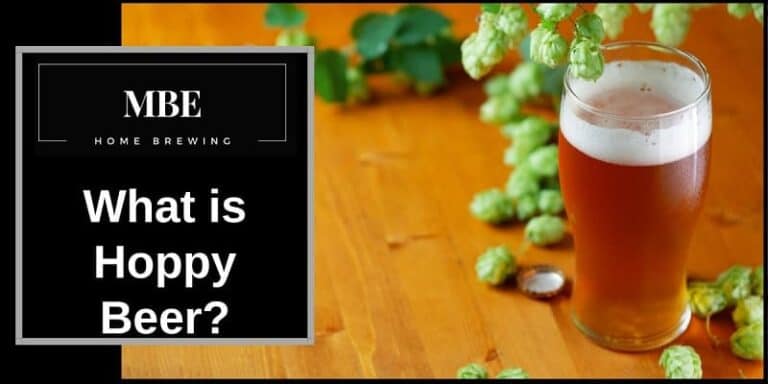 What is Hoppy Beer? | 2025