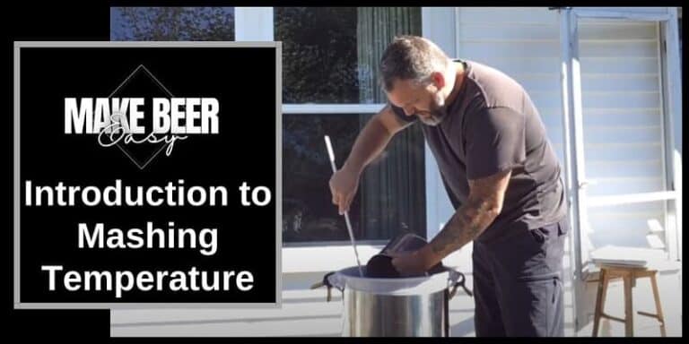Introduction to Mashing Temperature | 2025