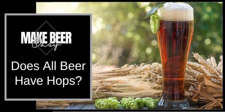 Does All Beer Have Hops? | 2026